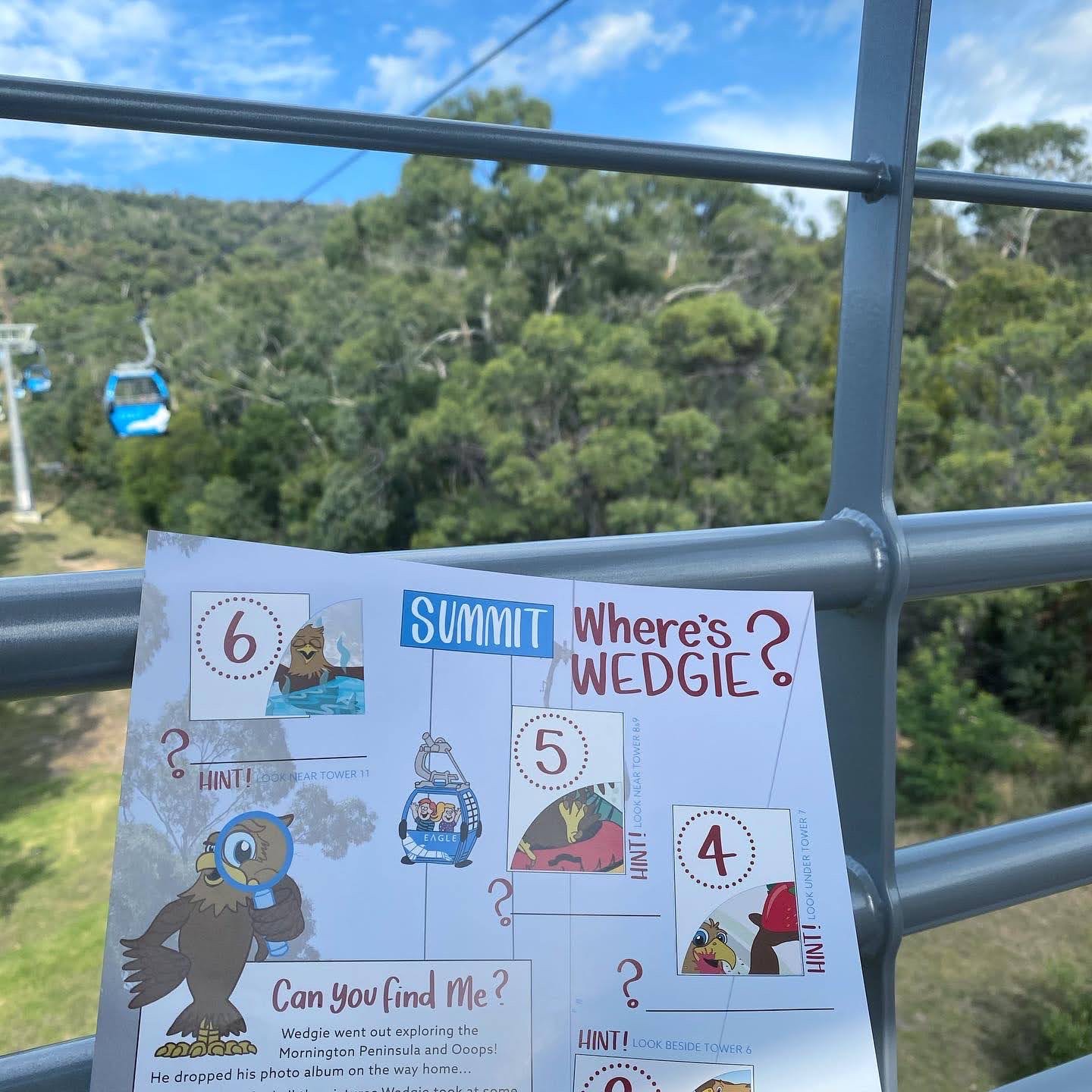 Arthurs Seat Eagle – Melbourne with Kidz (MWK)