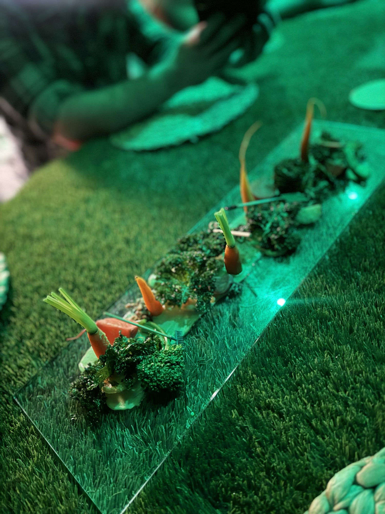 Shelanous: A Night to Remember – Melbourne with Kidz (MWK)