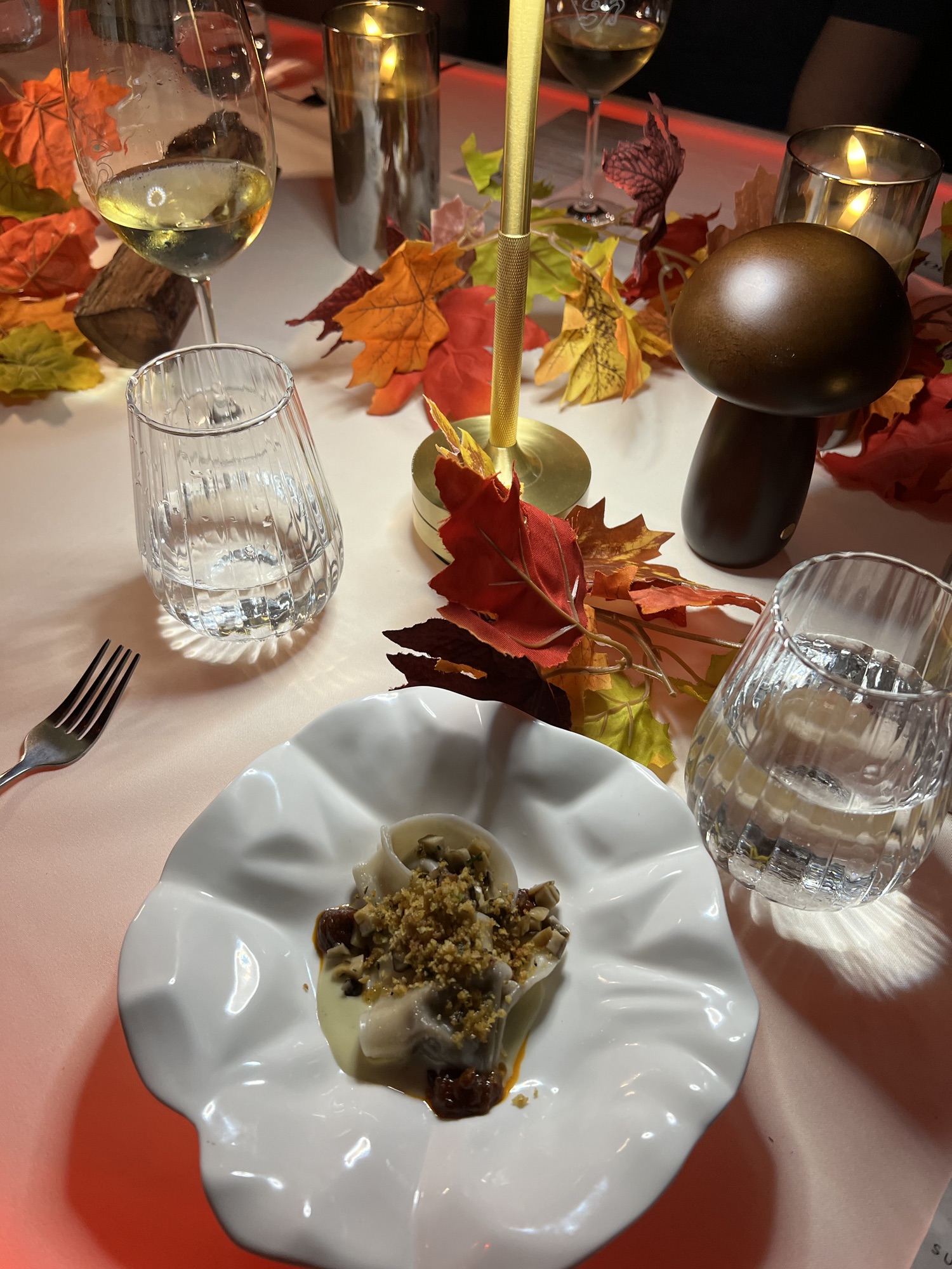 Shelanous: A Night to Remember – Melbourne with Kidz (MWK)