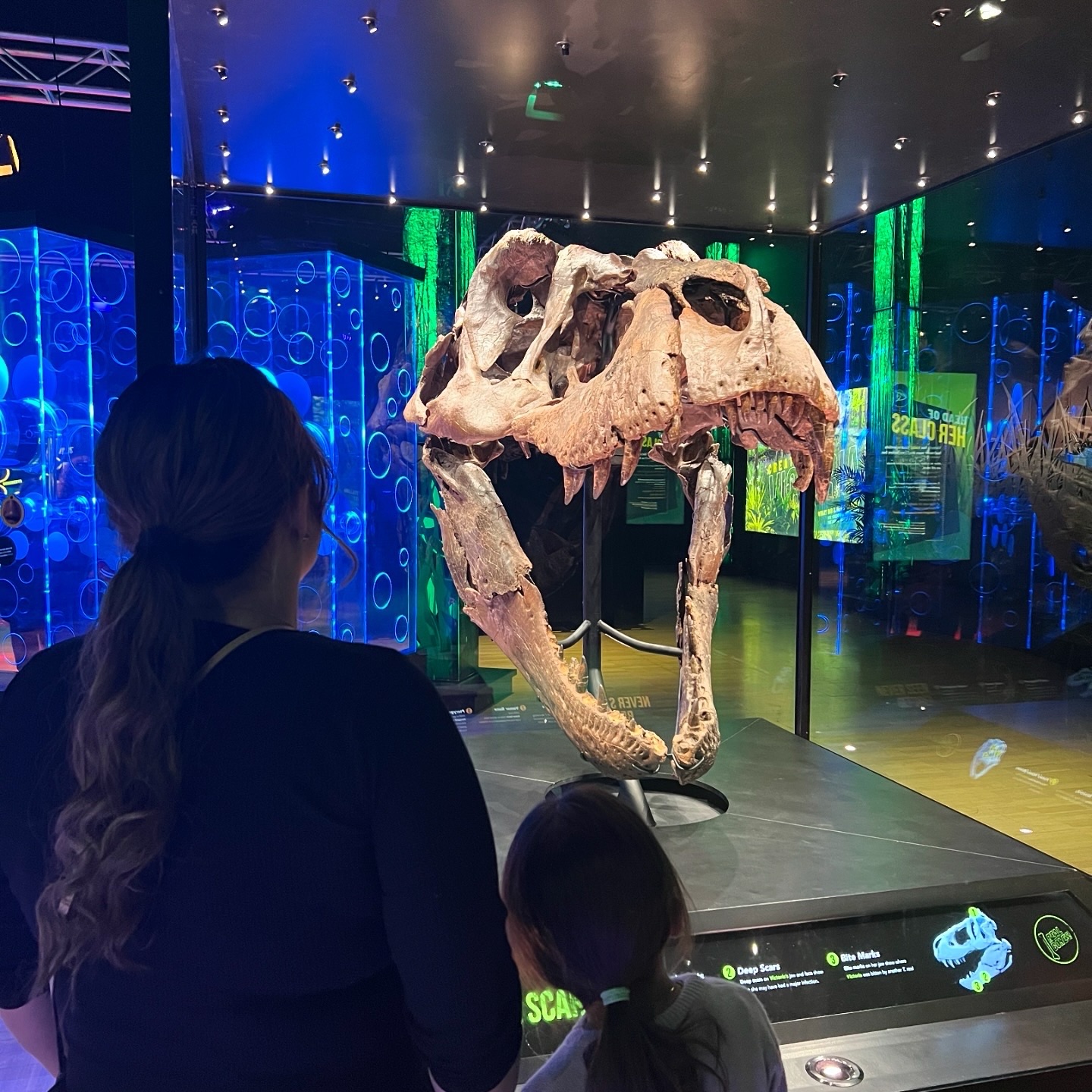 Victoria the T. Rex – Melbourne with Kidz (MWK)