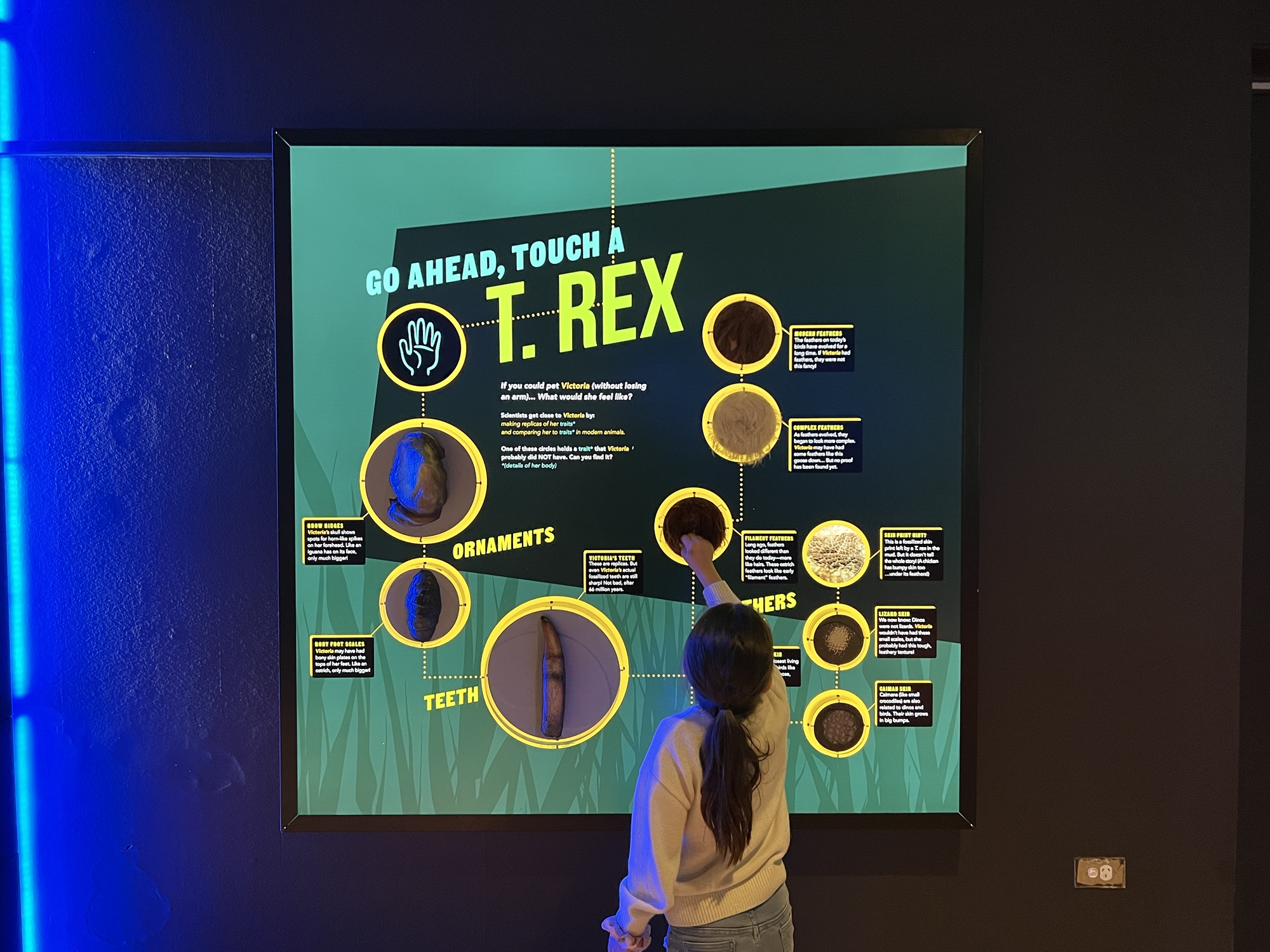 Victoria the T. Rex – Melbourne with Kidz (MWK)
