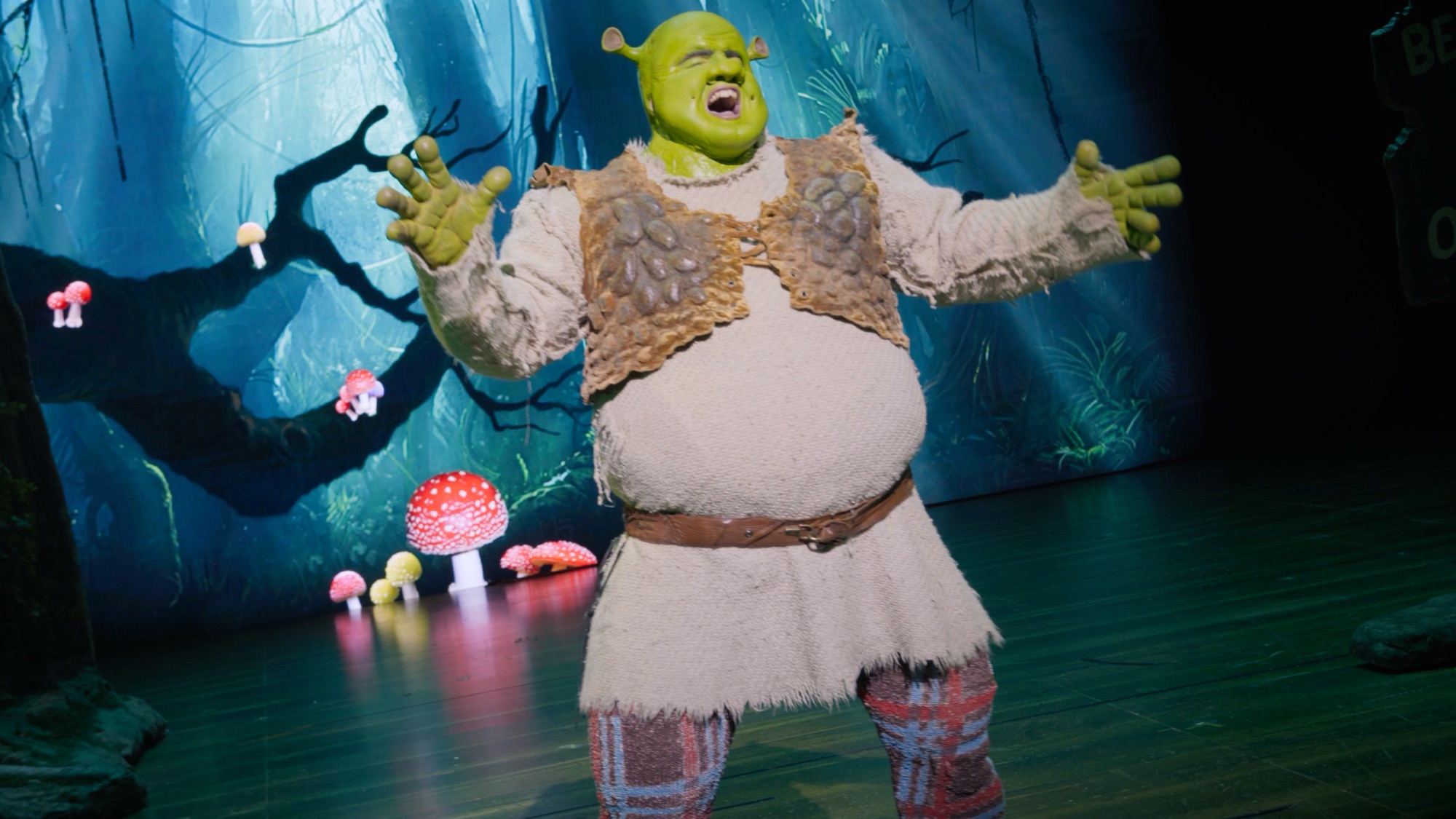 Not to Be Missed: Shrek The Musical Is Heading to Melbourne ...