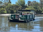 Explore a Hidden FREE Island in Melbourne: Herring Island – Melbourne ...