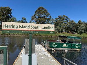 Explore a Hidden FREE Island in Melbourne: Herring Island – Melbourne ...